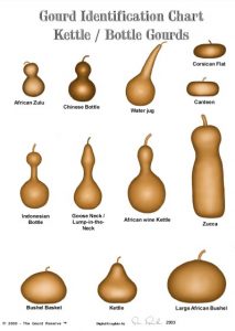 About Gourds | Canadian Gourd Society