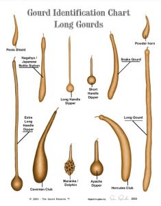 About Gourds | Canadian Gourd Society