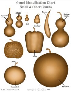 About Gourds | Canadian Gourd Society
